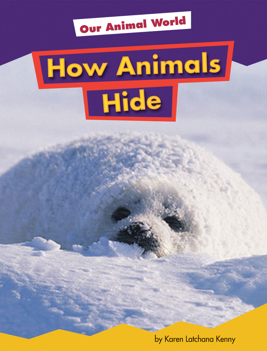 How Animals Hide – The Creative Company