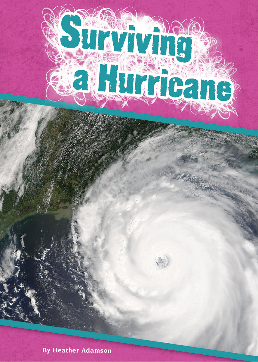 Surviving a Hurricane – The Creative Company