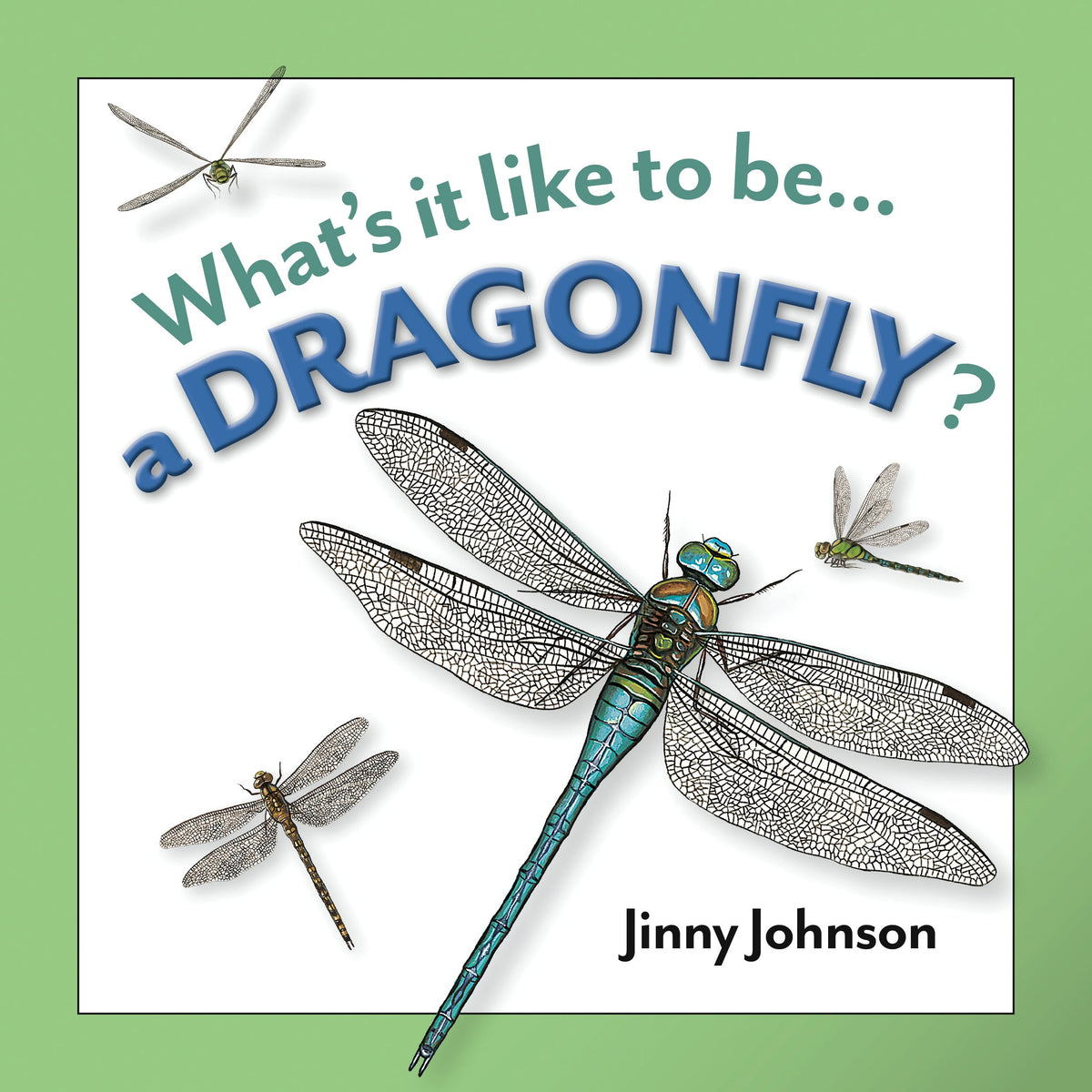 A Dragonfly? – The Creative Company
