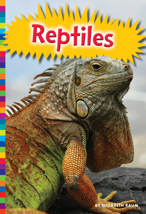 Reptiles – The Creative Company Shop