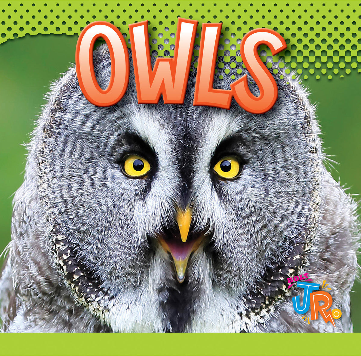 Owls – The Creative Company
