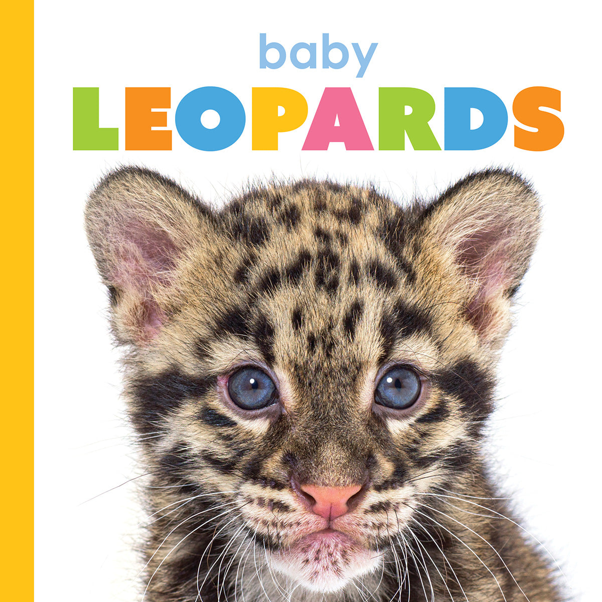 Baby Leopards – The Creative Company