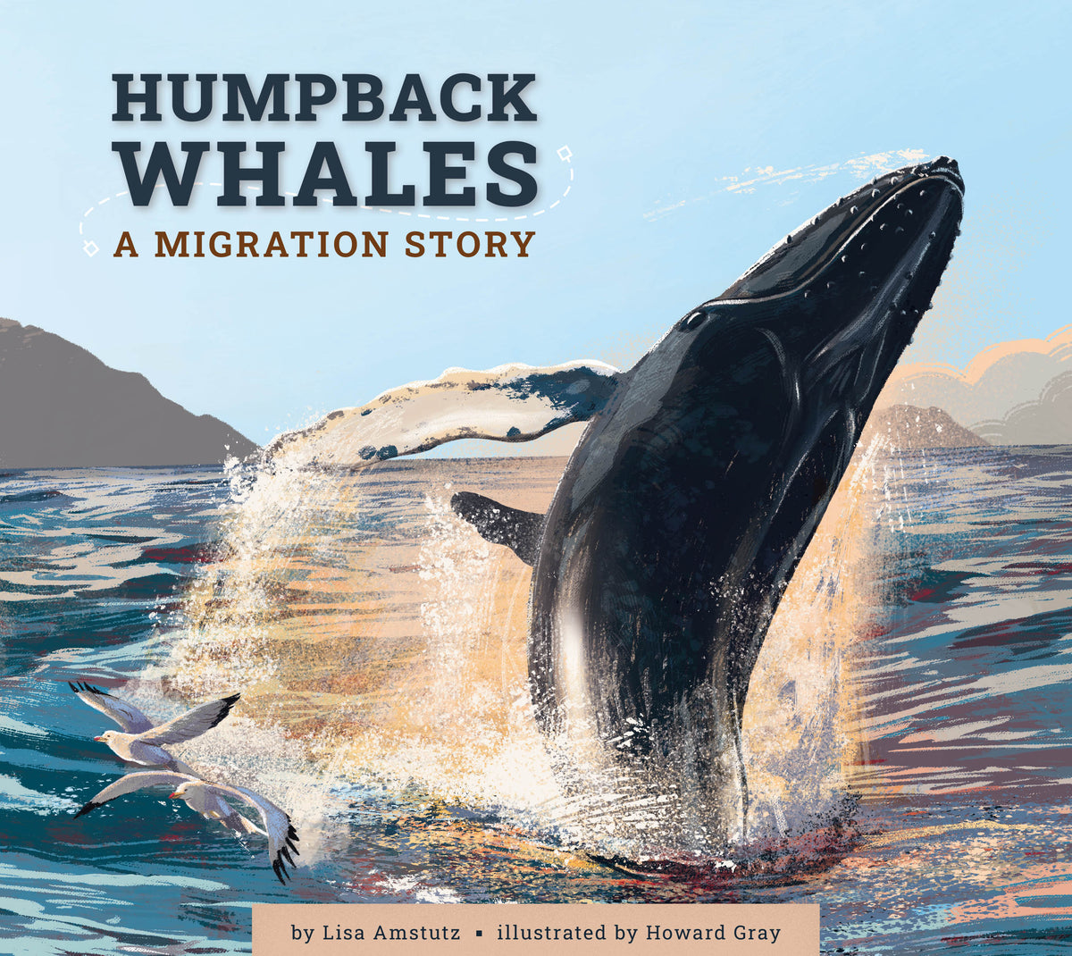 Humpback Whales: A Migration Story – The Creative Company