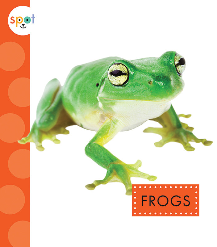 Frogs – The Creative Company Shop