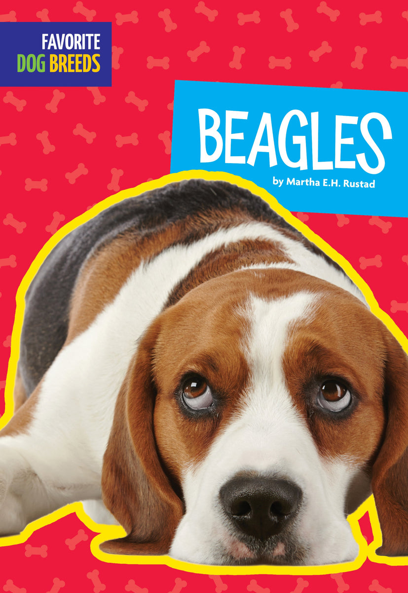 Beagles – The Creative Company