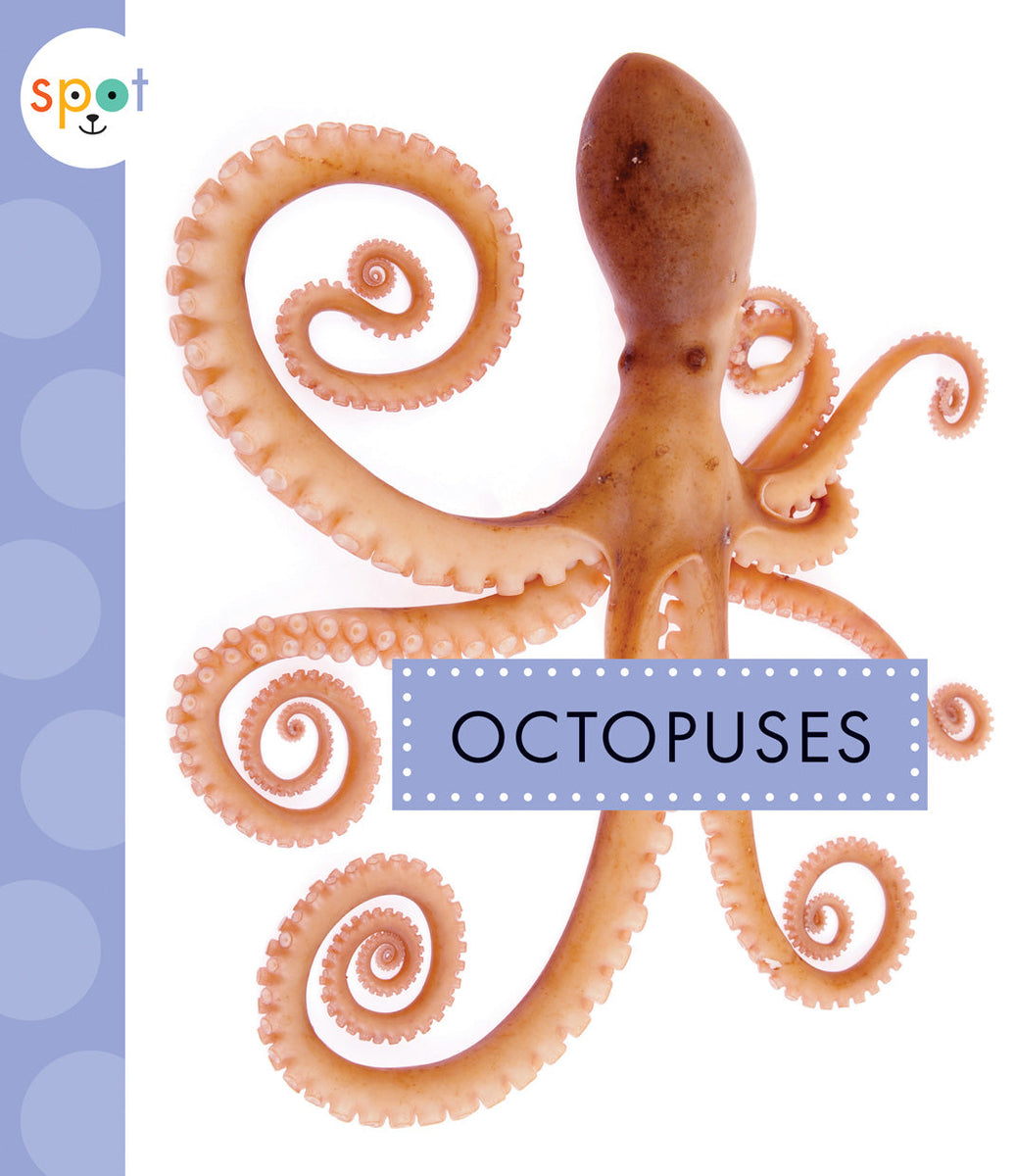 Octopuses – The Creative Company