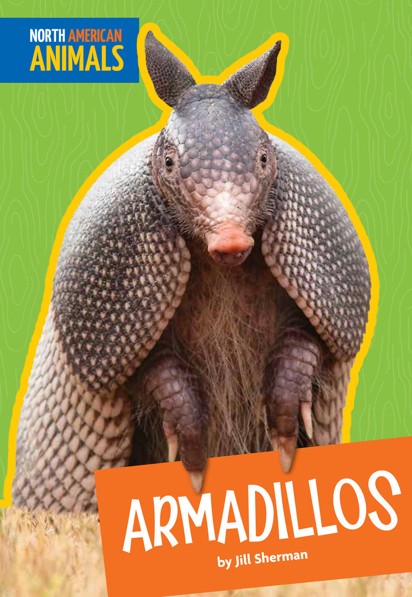 Armadillos – The Creative Company Shop
