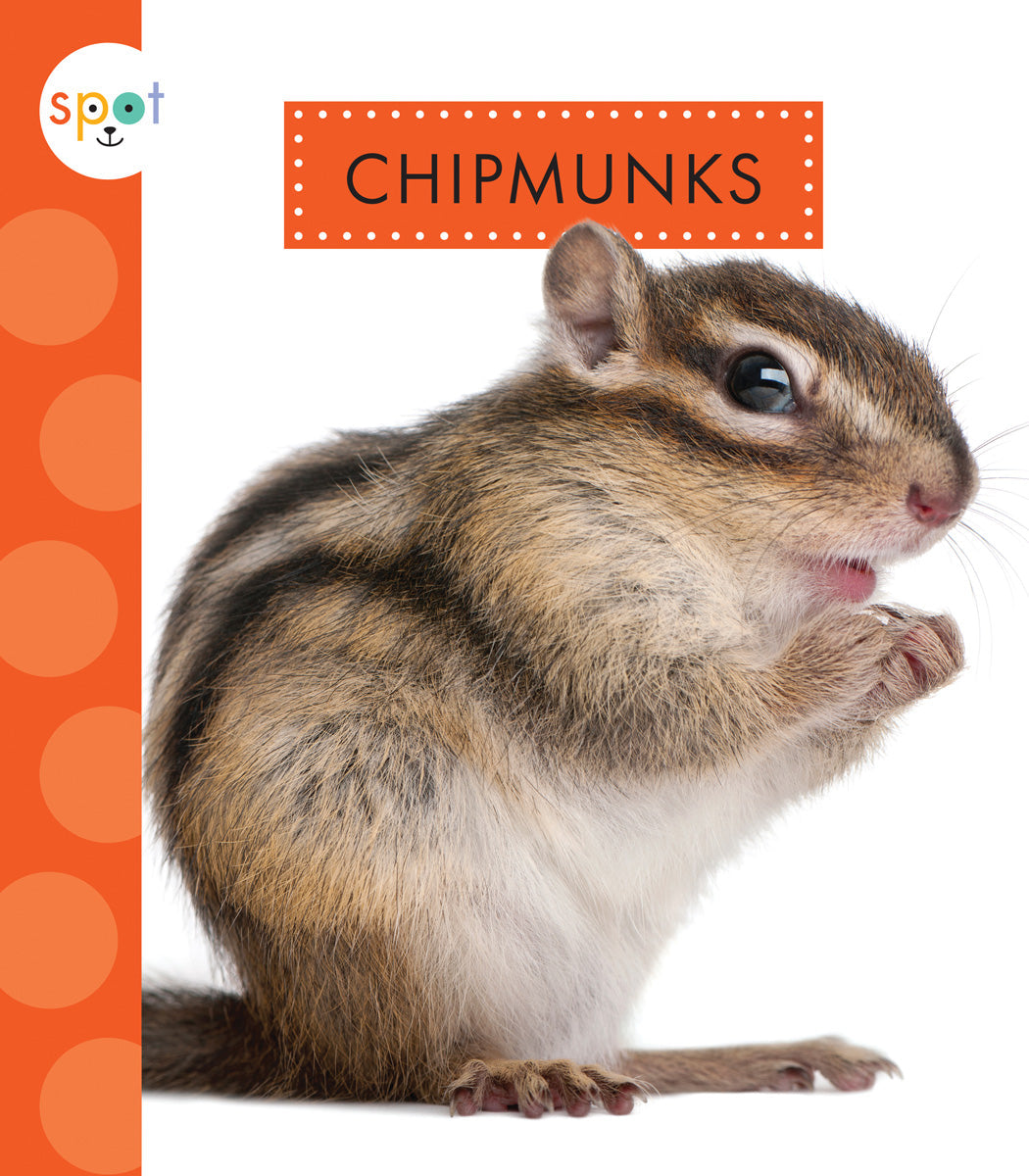 Chipmunks – The Creative Company