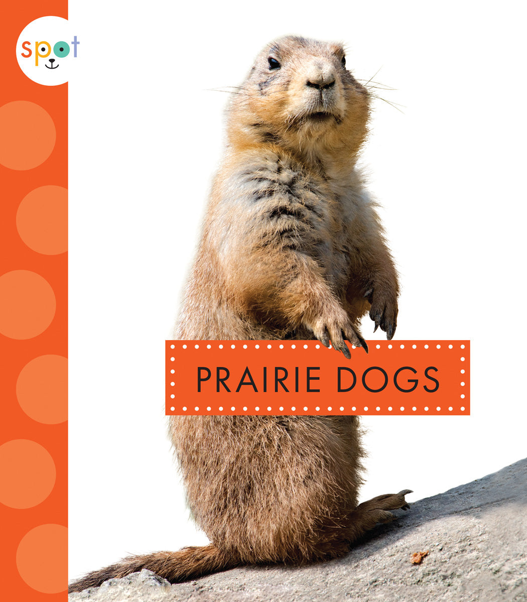 Prairie Dogs – The Creative Company
