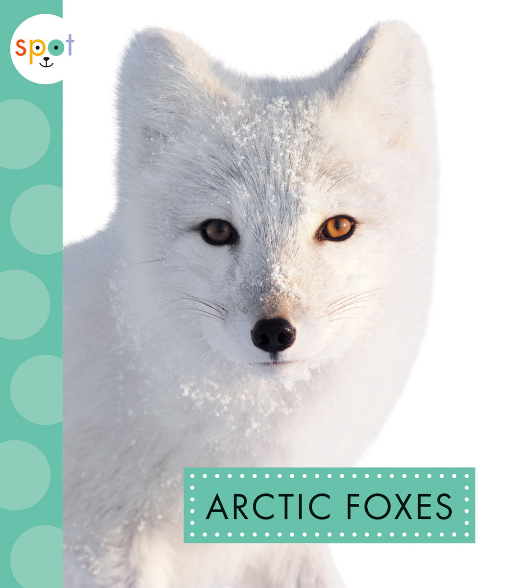 Arctic Foxes – The Creative Company