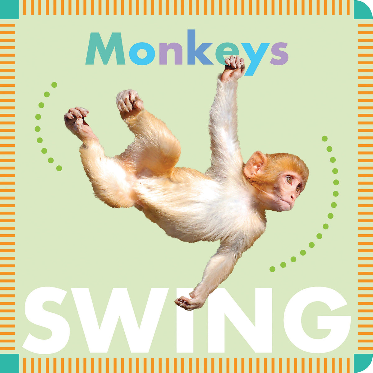 Monkeys Swing – The Creative Company