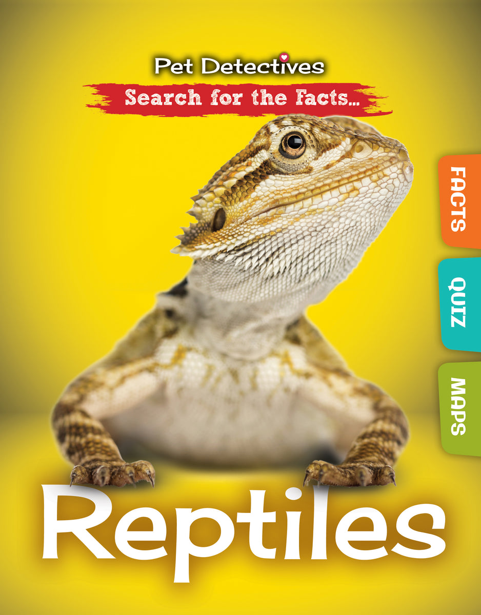 Reptiles – The Creative Company