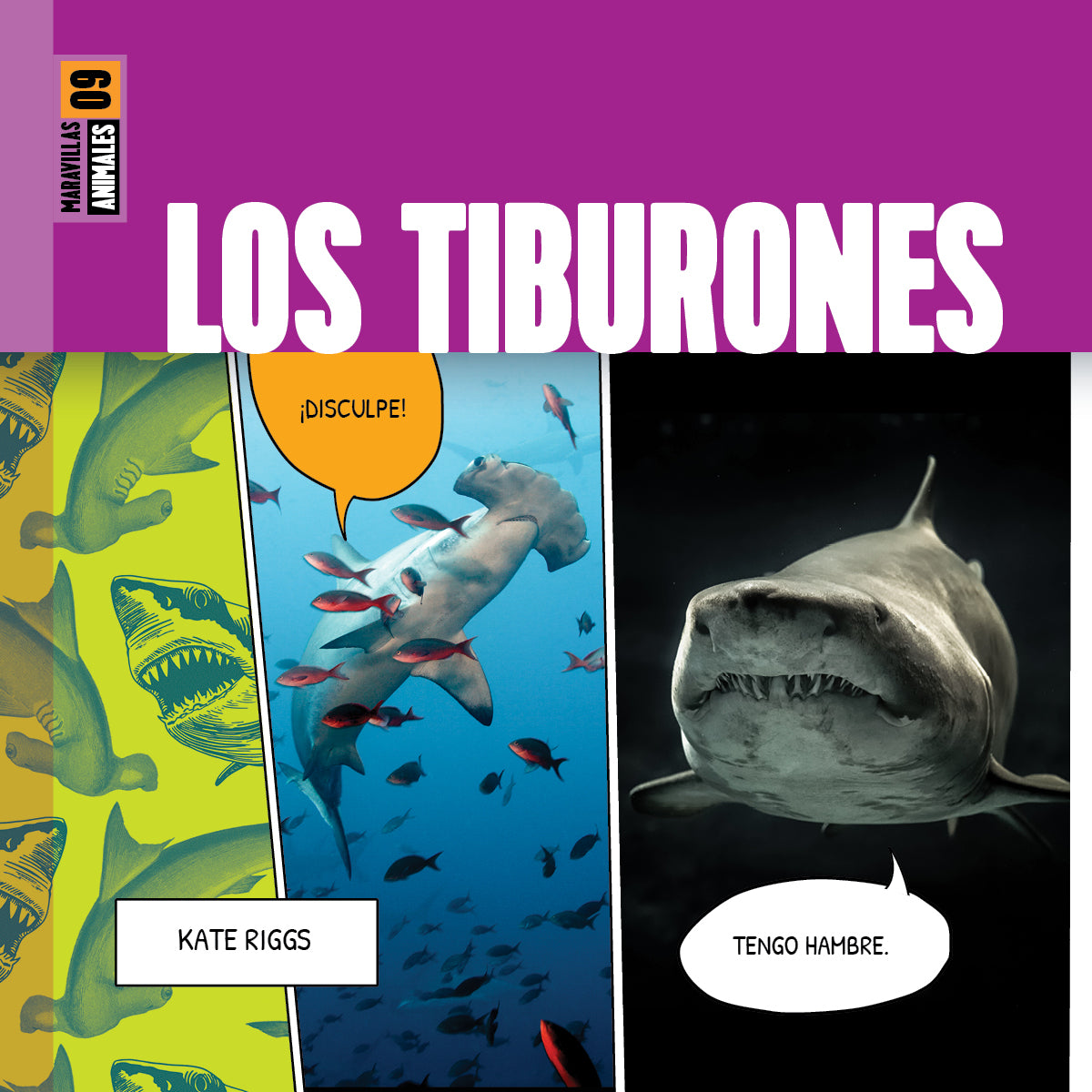 Los tiburones – The Creative Company