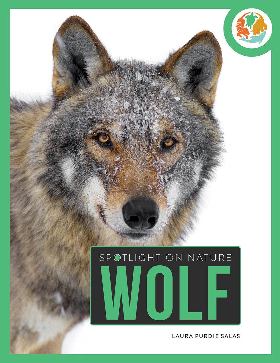 Wolf – The Creative Company Shop