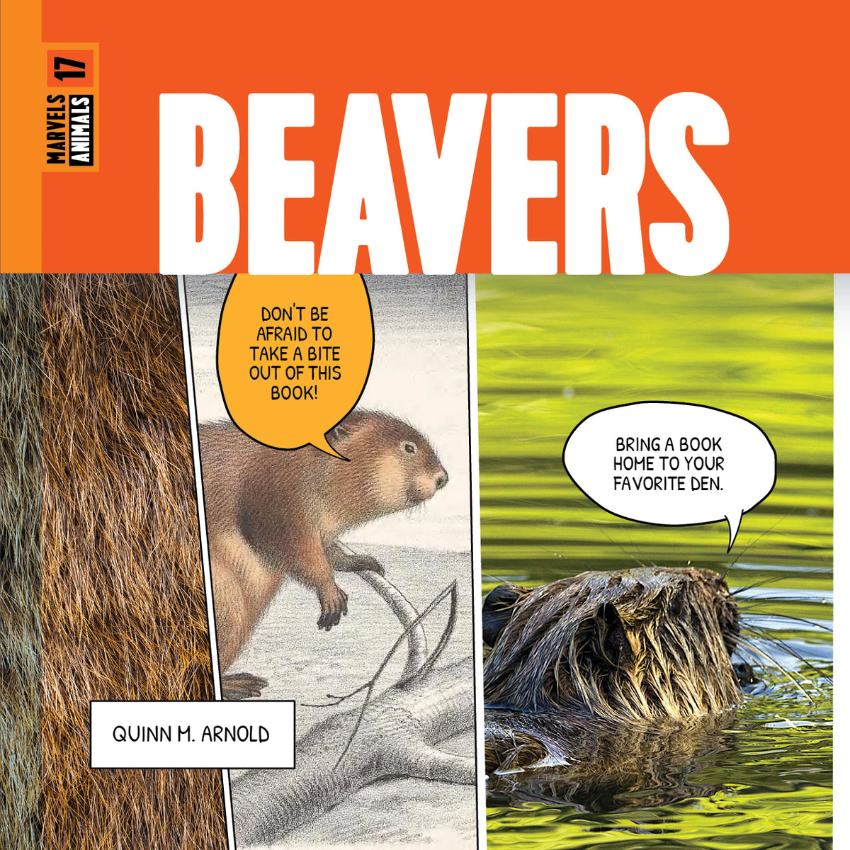 Beavers – The Creative Company
