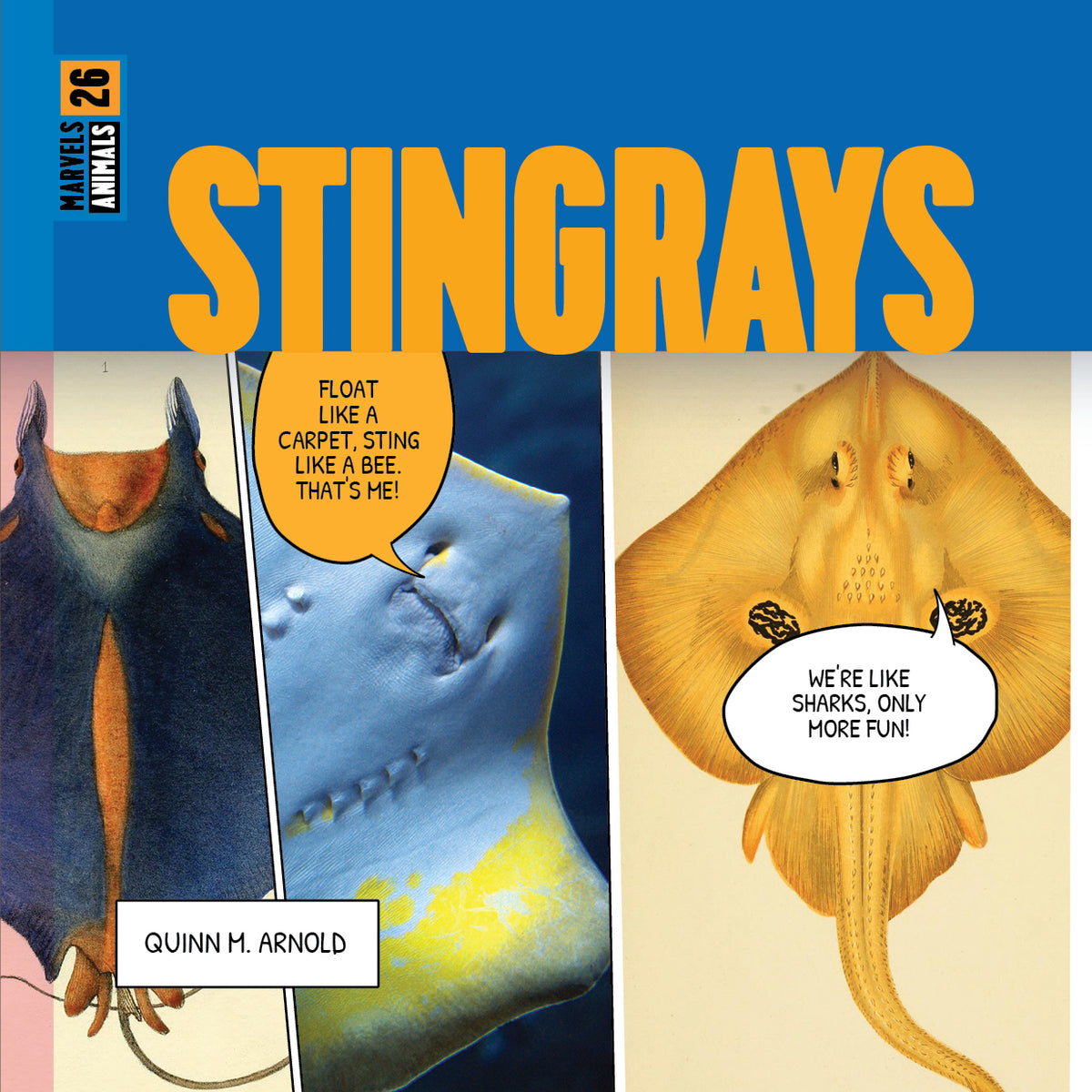 Stingrays – The Creative Company Shop
