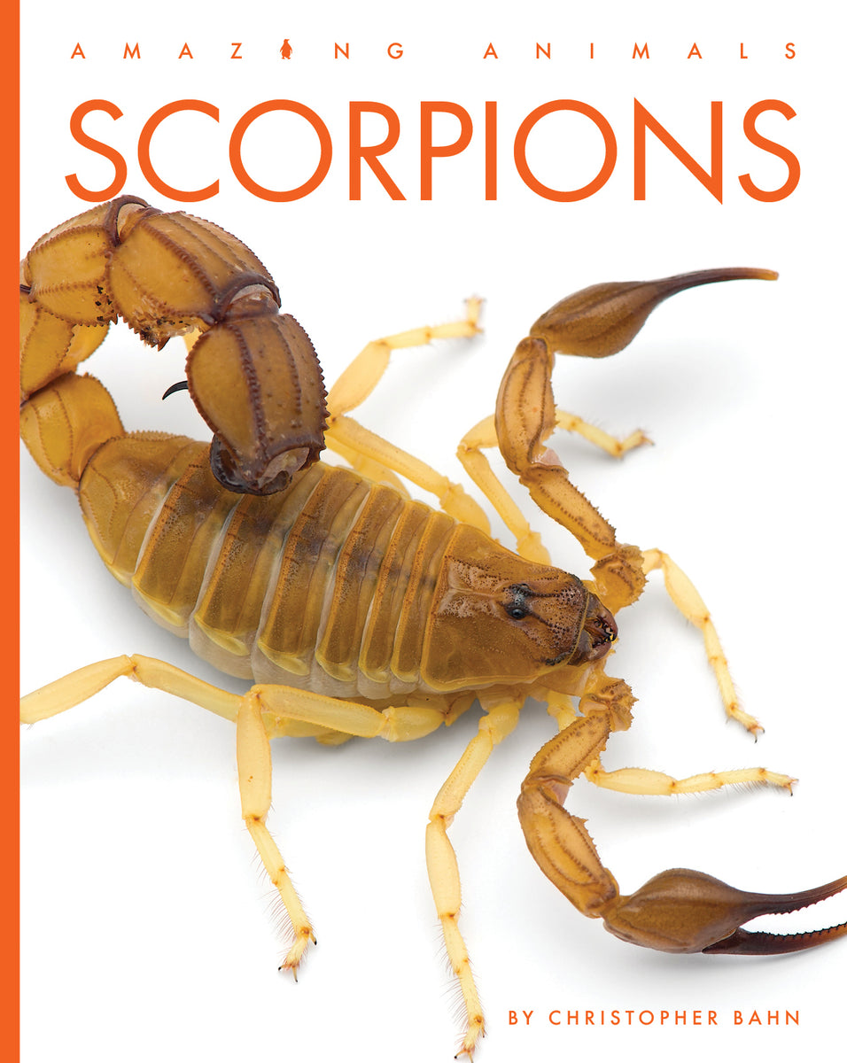Scorpions – The Creative Company