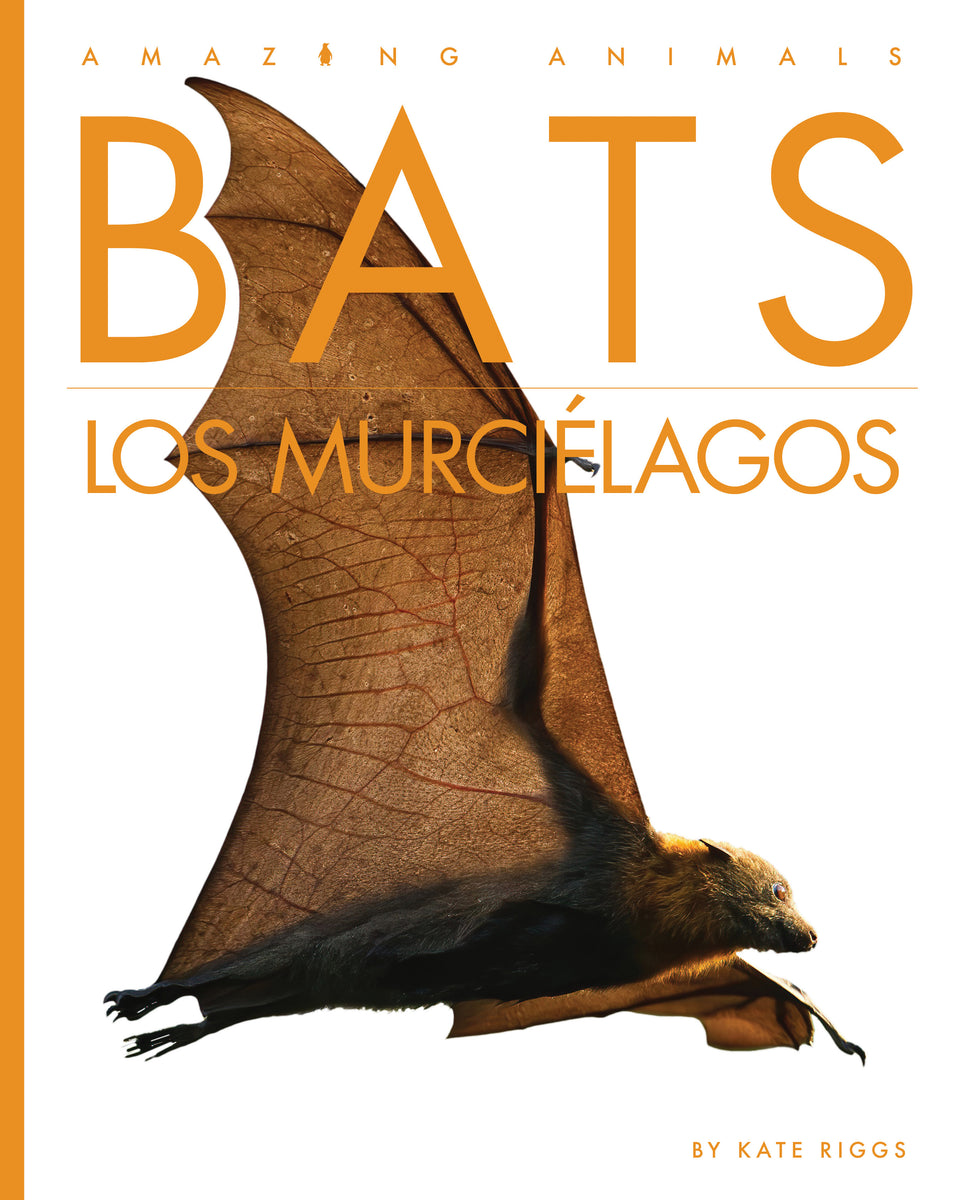 Bats / Los murciélagos – The Creative Company