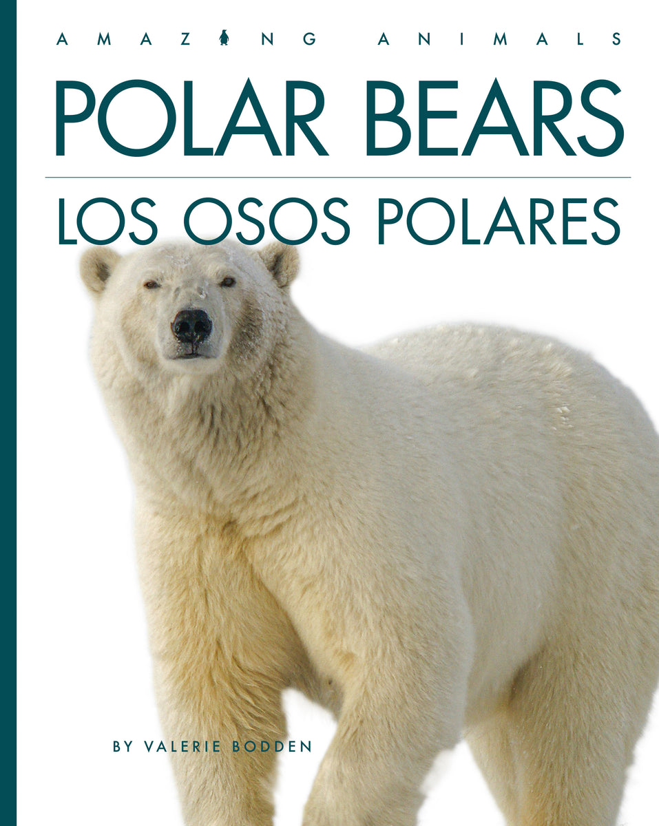 Polar Bears / Los osos polares – The Creative Company