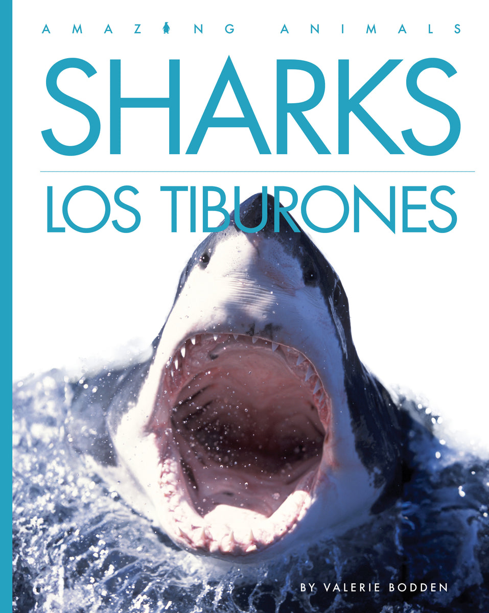 Sharks / Los tiburones – The Creative Company