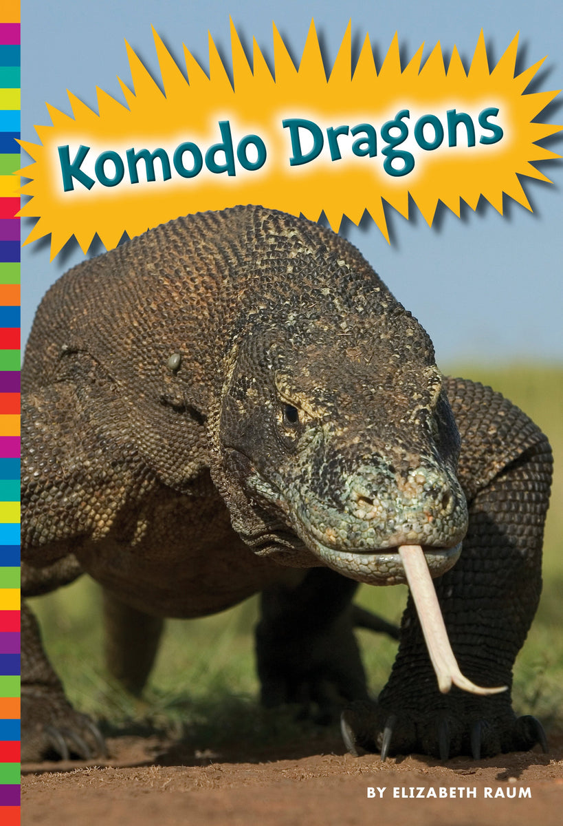 Komodo Dragons – The Creative Company Shop