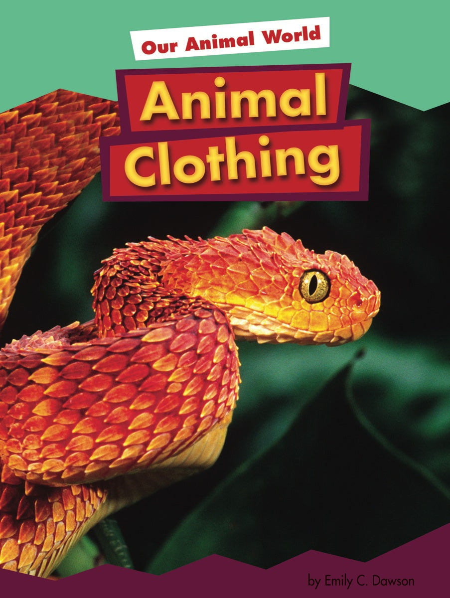 Animal Clothing – The Creative Company
