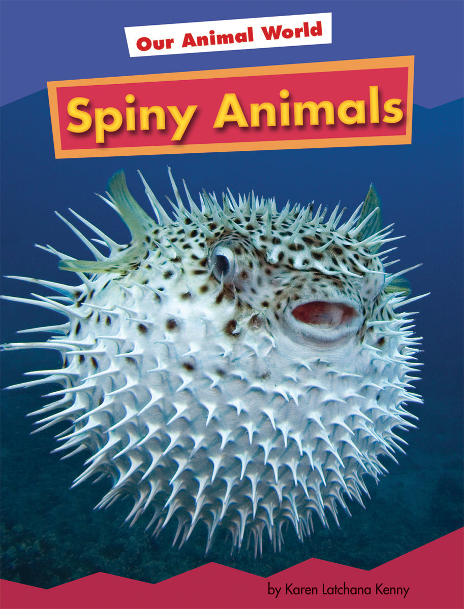 Spiny Animals – The Creative Company