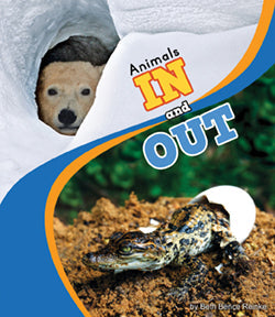 Animals In and Out – The Creative Company Shop