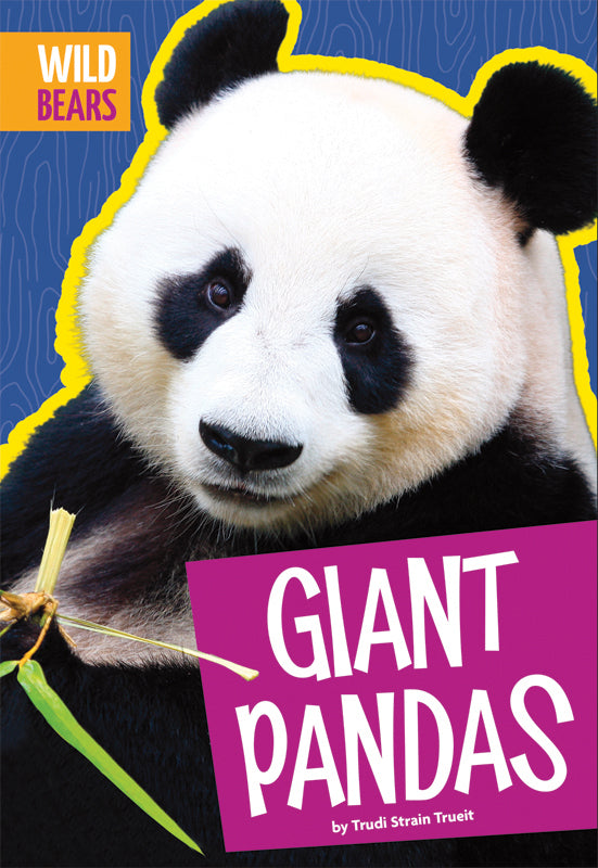 Giant Pandas – The Creative Company Shop