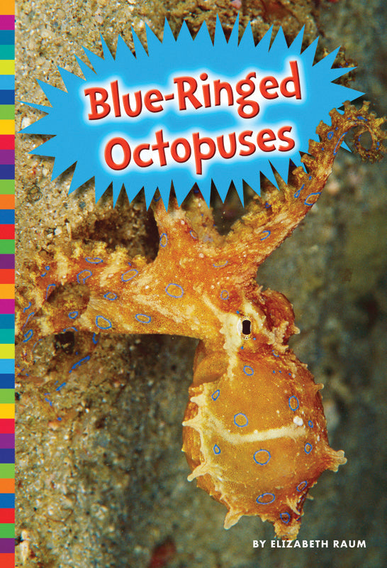 Blue-Ringed Octopuses – The Creative Company