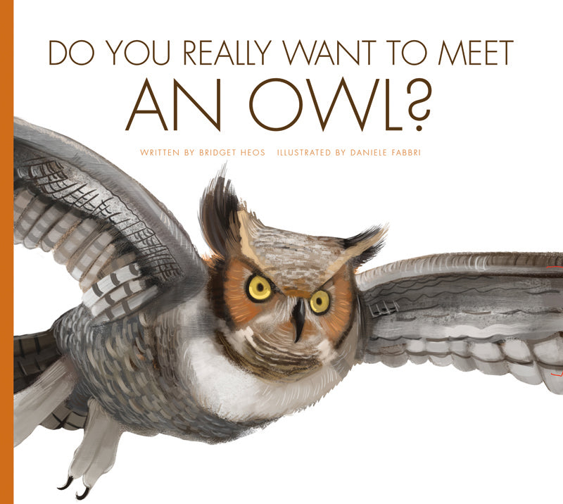 Do You Really Want to Meet an Owl? – The Creative Company