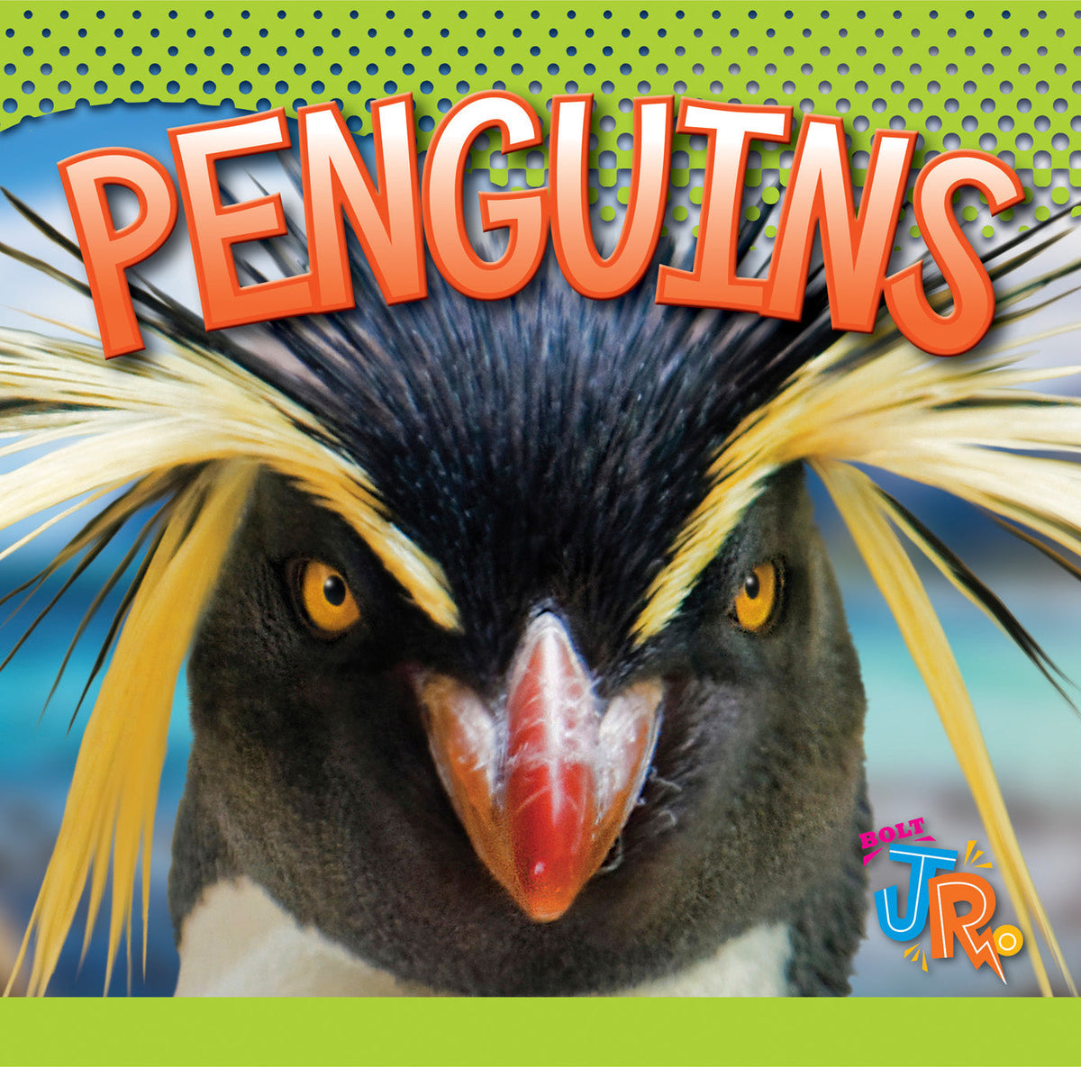 Penguins – The Creative Company