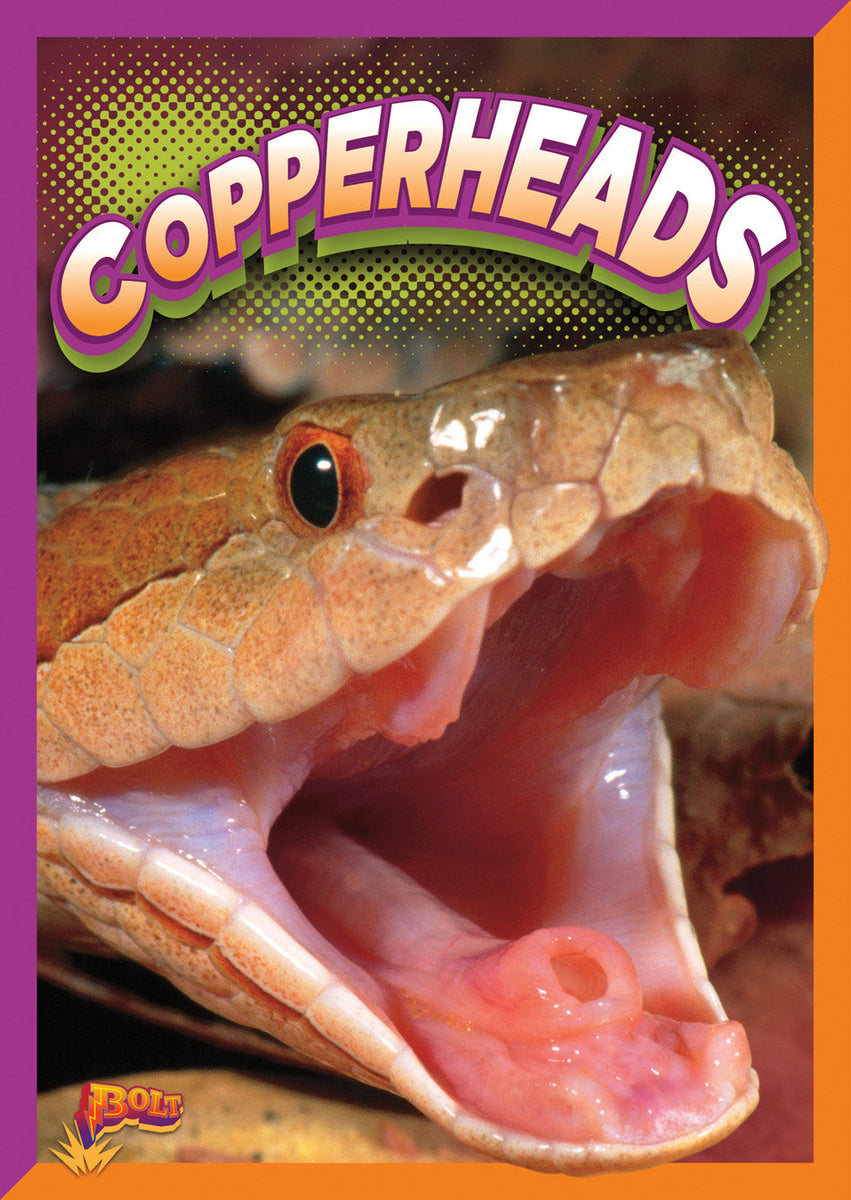 Copperheads – The Creative Company
