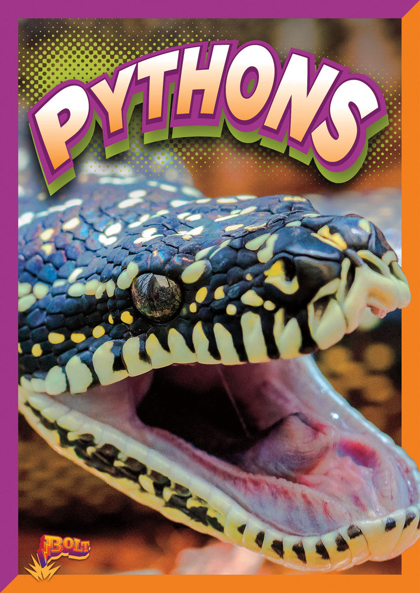 Slithering Snakes: Pythons – The Creative Company Shop