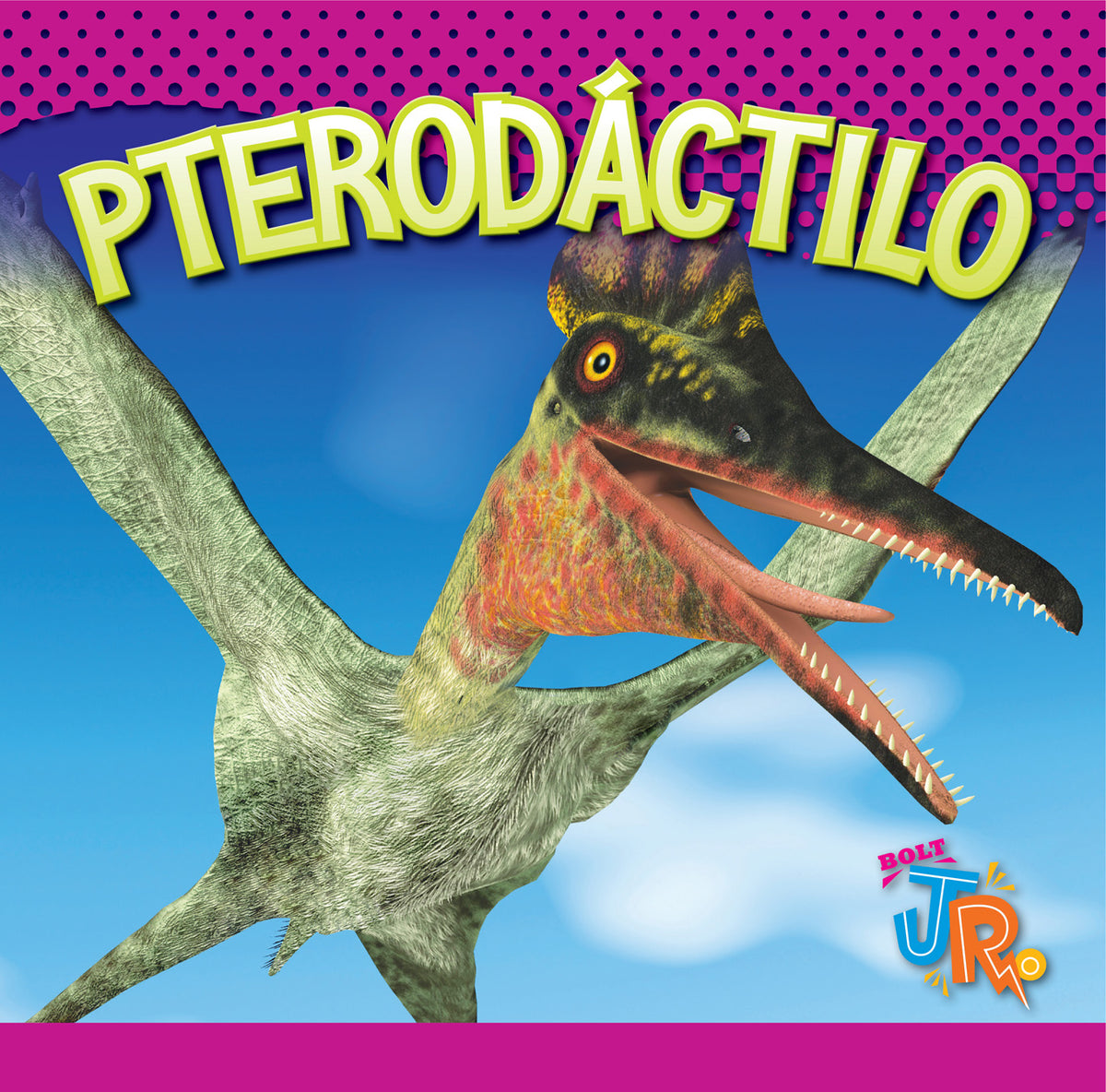 Pterodáctilo – The Creative Company