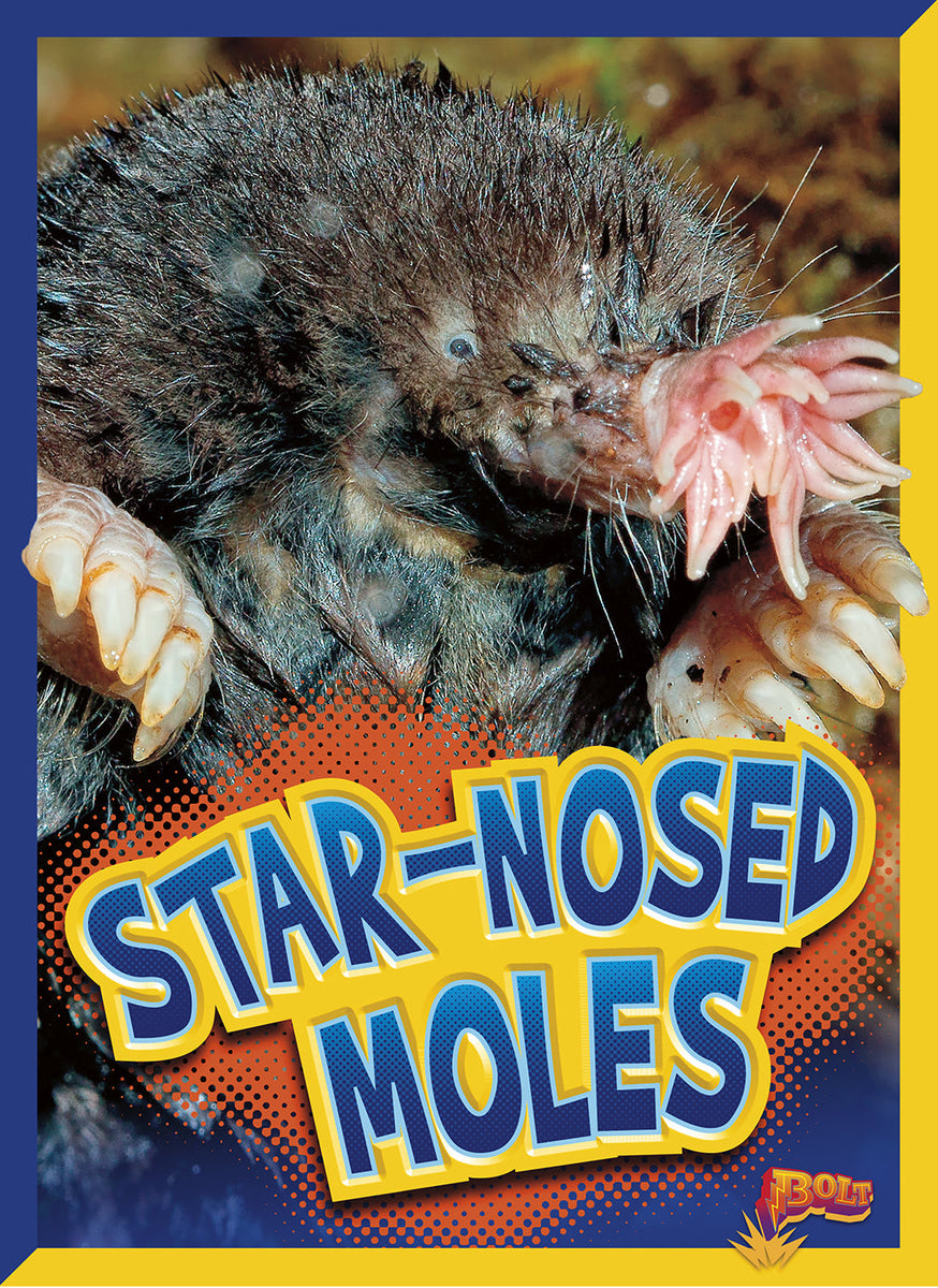 Star-Nosed Moles – The Creative Company