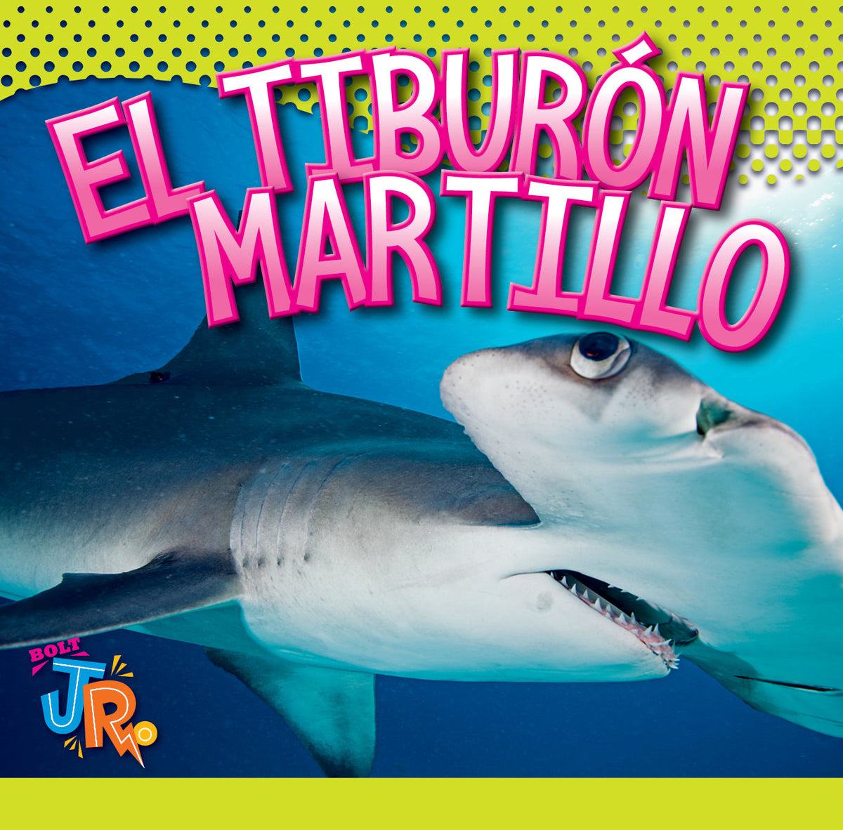 El tiburón martillo – The Creative Company