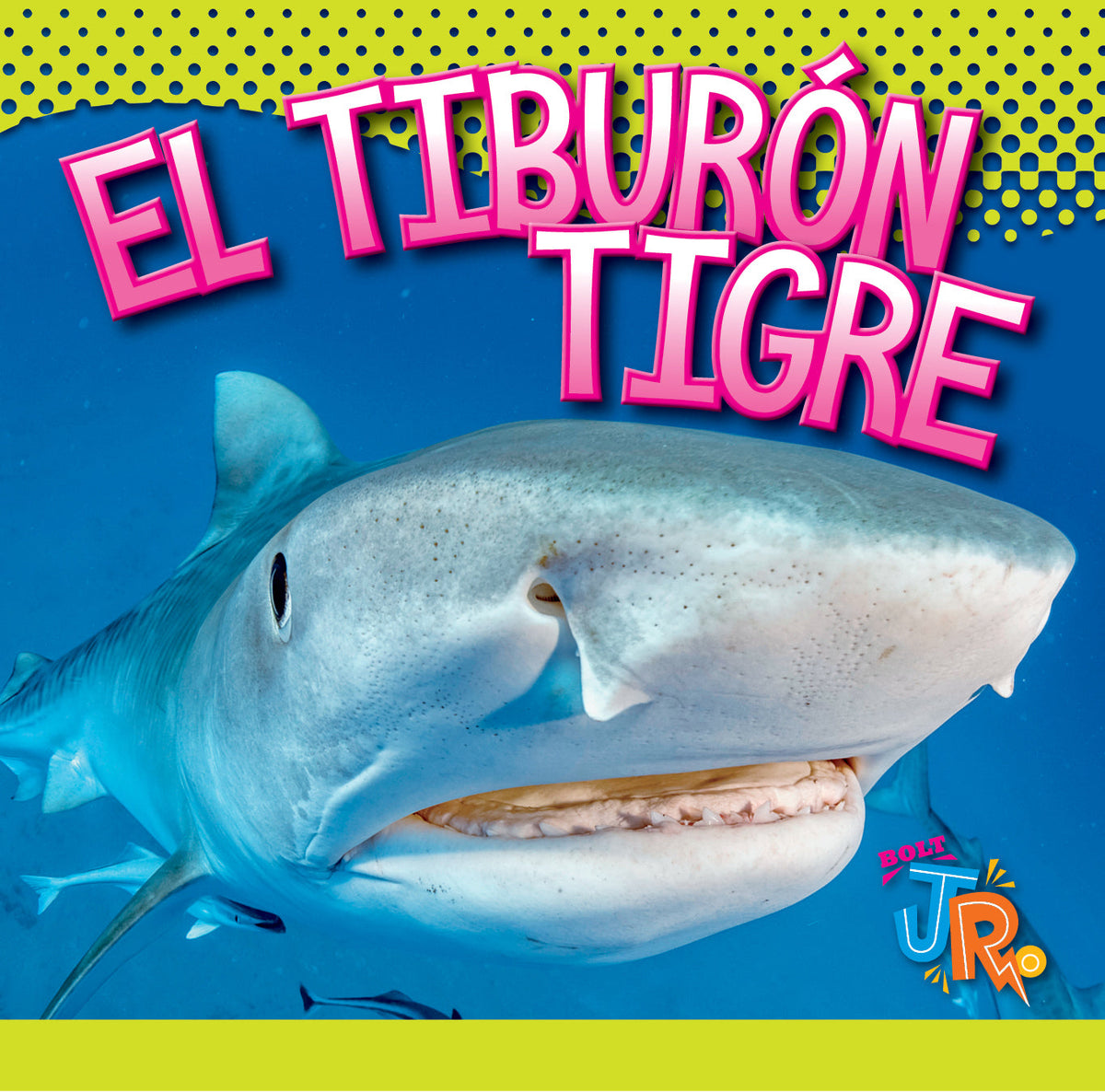El tiburón tigre – The Creative Company