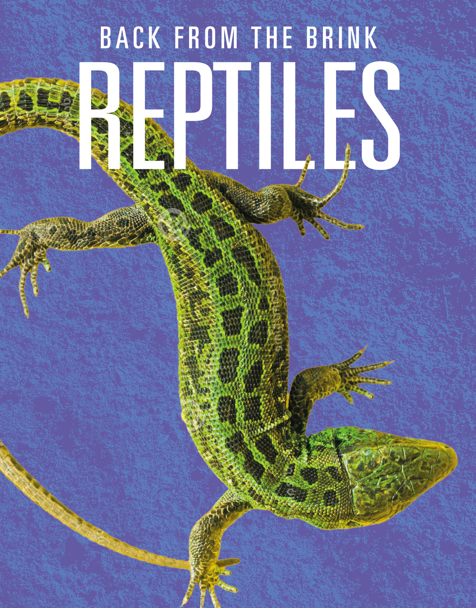 Reptiles: Back from the Brink – The Creative Company