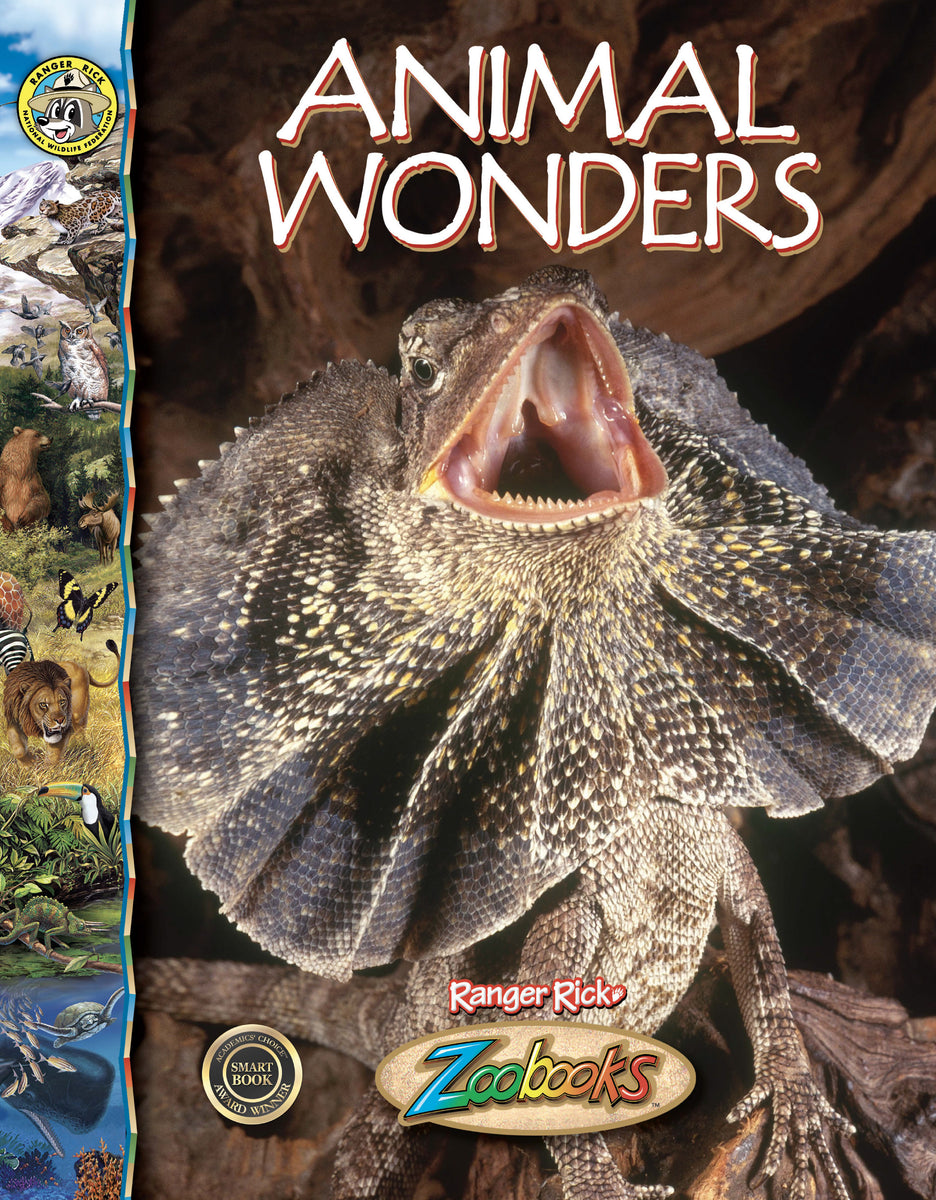 Animal Wonders – The Creative Company