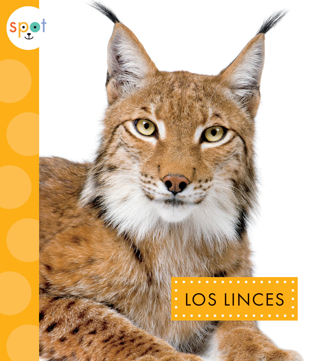 Los linces – The Creative Company
