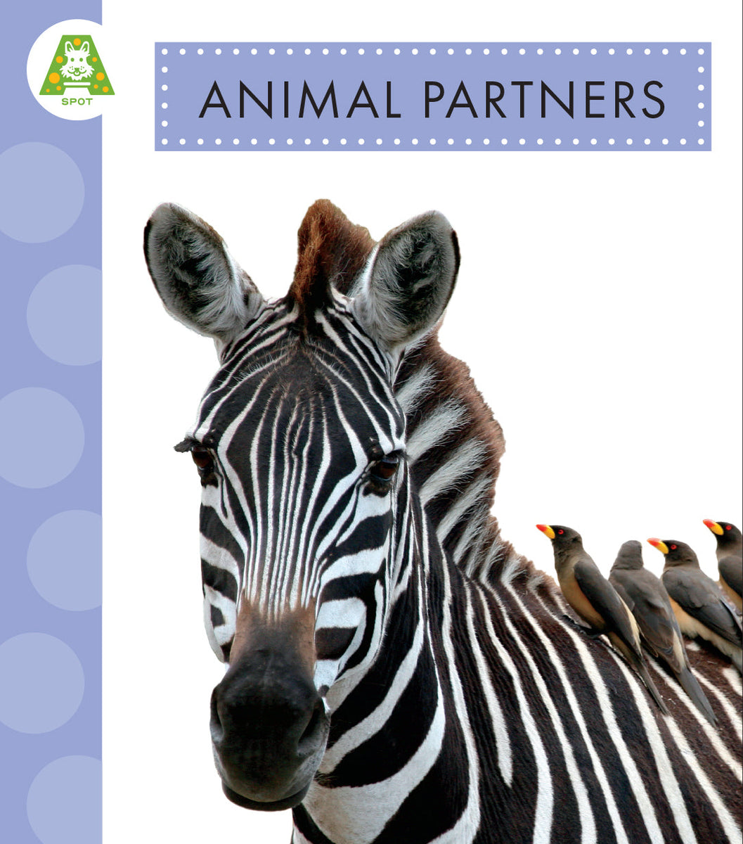 Animal Partners – The Creative Company Shop