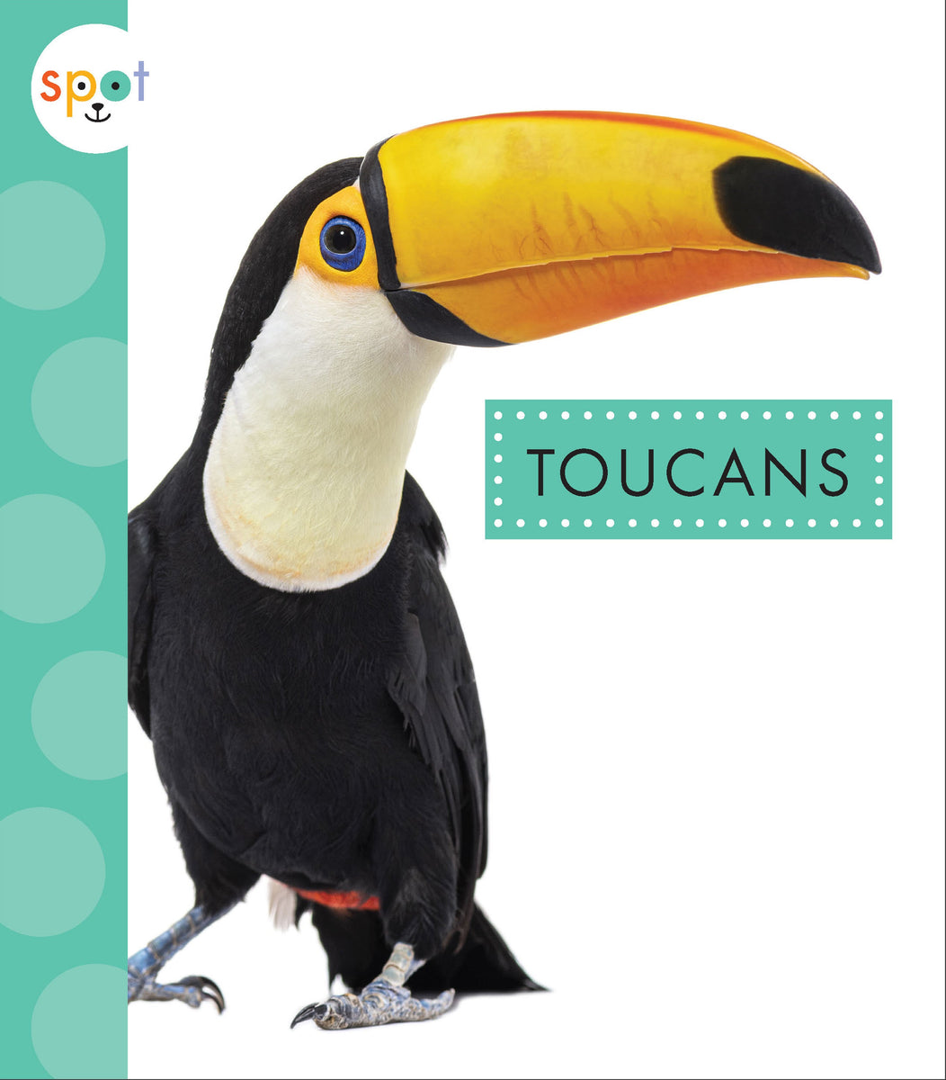 Toucans – The Creative Company
