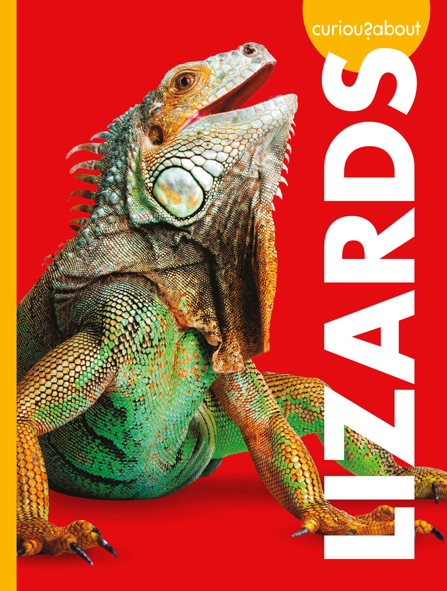 Curious about Lizards – The Creative Company Shop