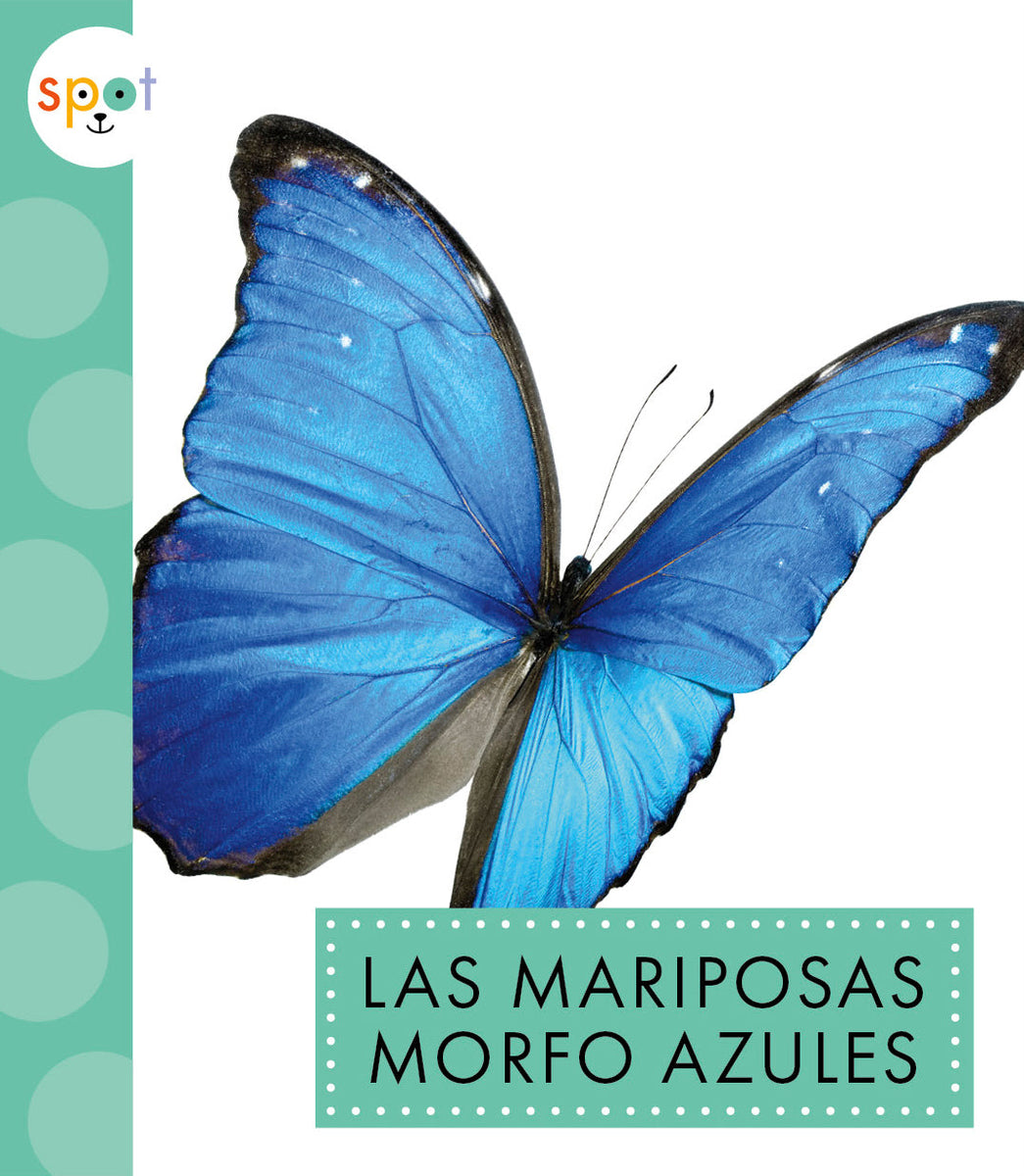 Mariposas Azules Frescas Fondo Hermosa Mariposa En El Papel Tapiz De