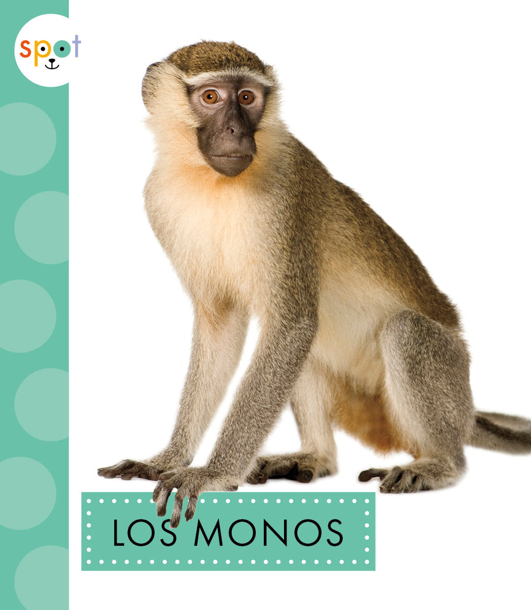 Los monos – The Creative Company