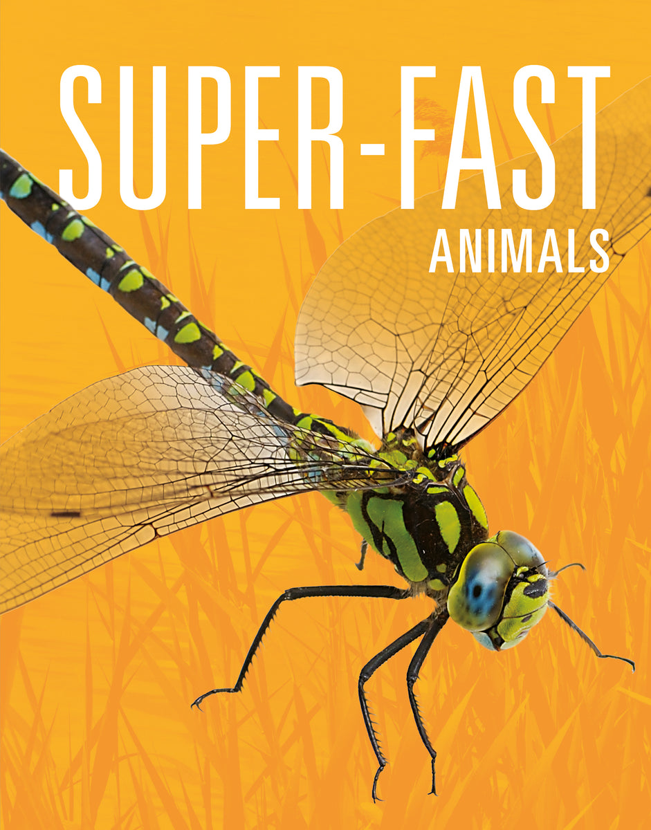 Super-Fast Animals – The Creative Company