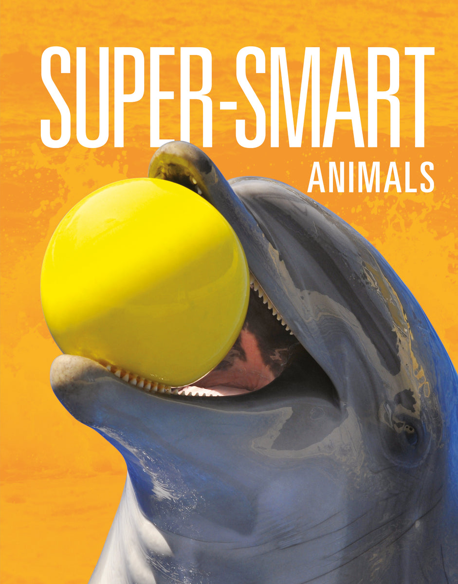 Super-Smart Animals – The Creative Company