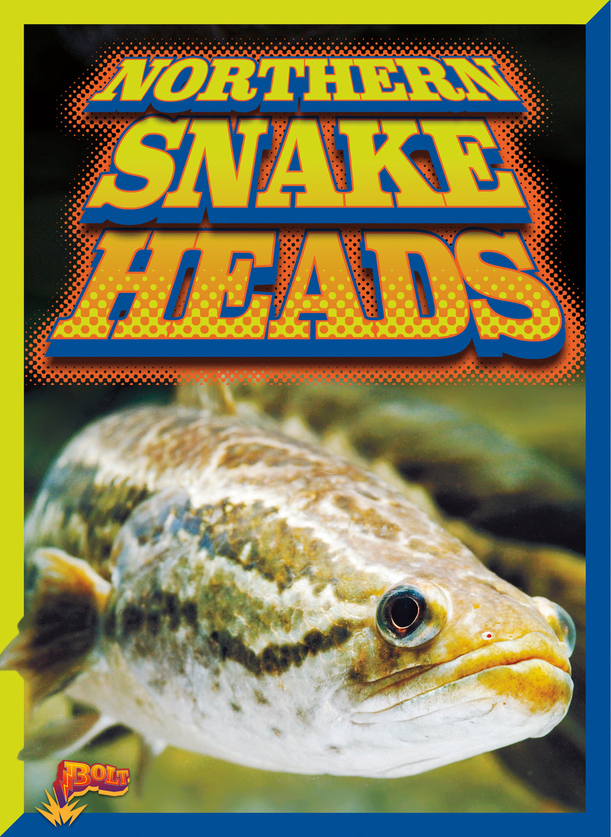 Northern Snakeheads – The Creative Company Shop