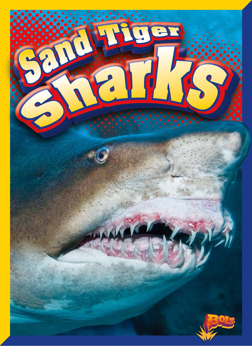 Sand Tiger Sharks – The Creative Company